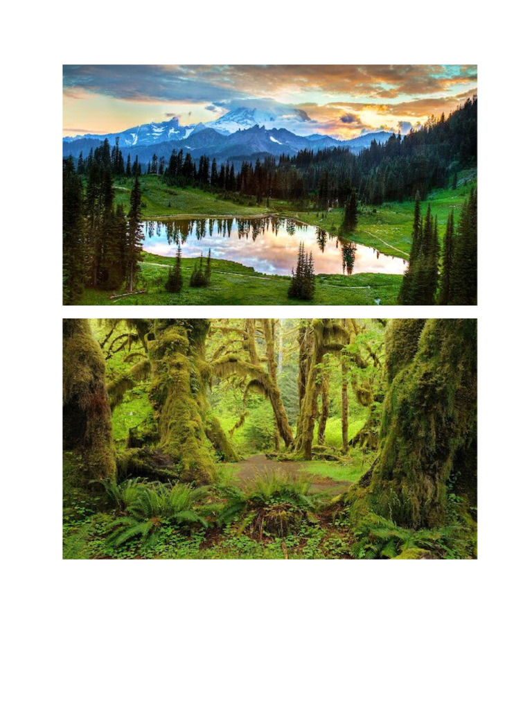 Washington State Facts & Geography | PDF | Washington (State ...