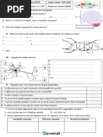 Contrôle SVT 3AC Semestre 2 | PDF | Nerf | Muscle squelettique