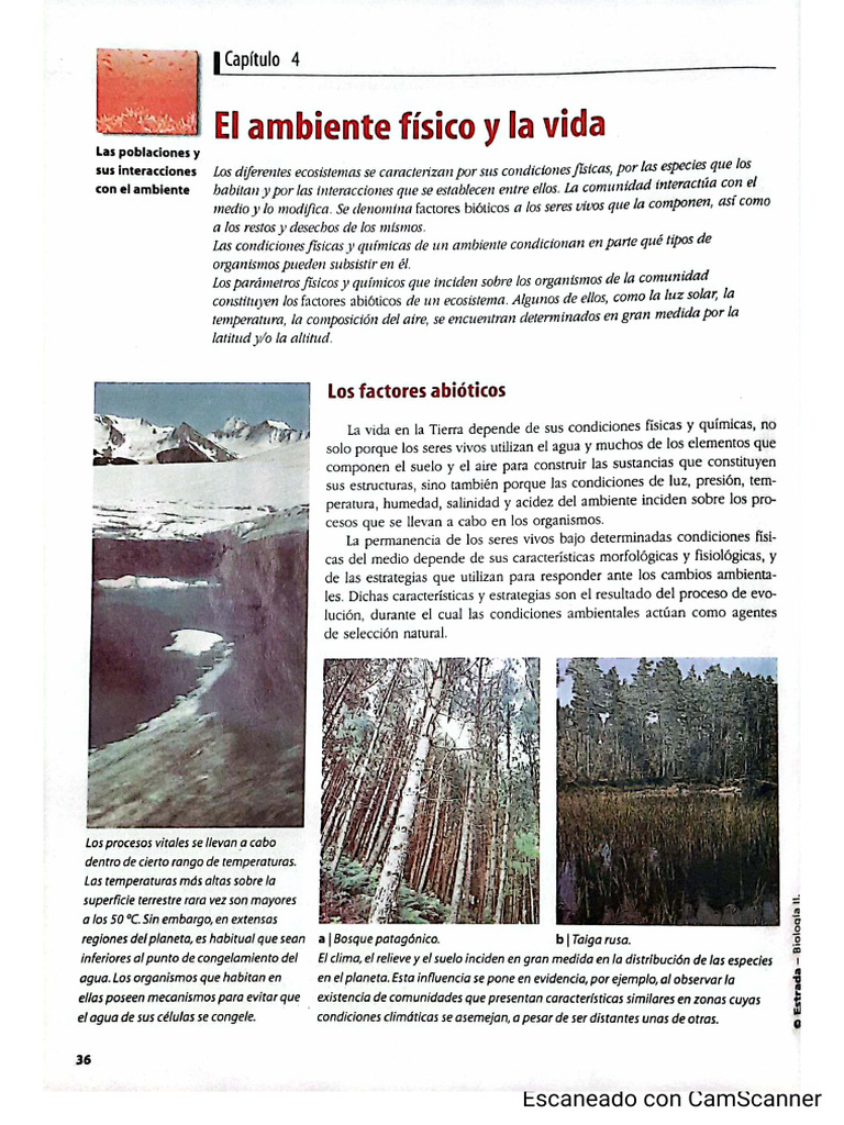 Ecolog-A Cap-Tulo 4 | PDF