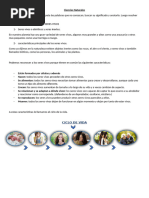 Arco de Riolano | PDF | Tinción | Anatomía