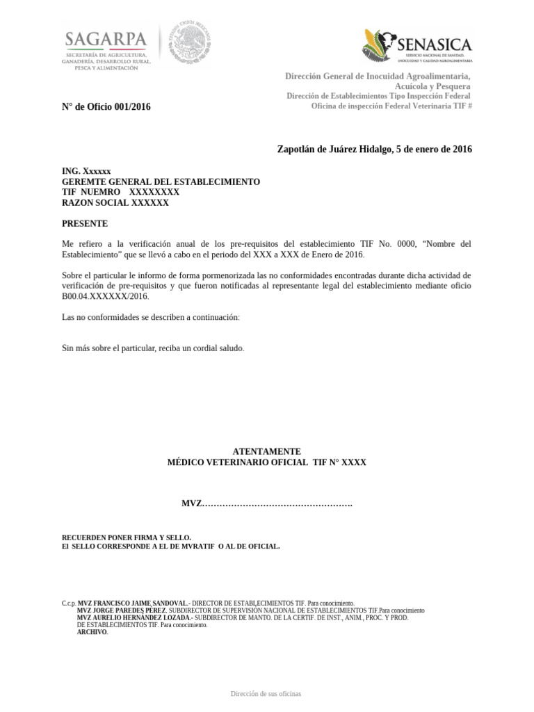FORMATO DE Oficios | PDF