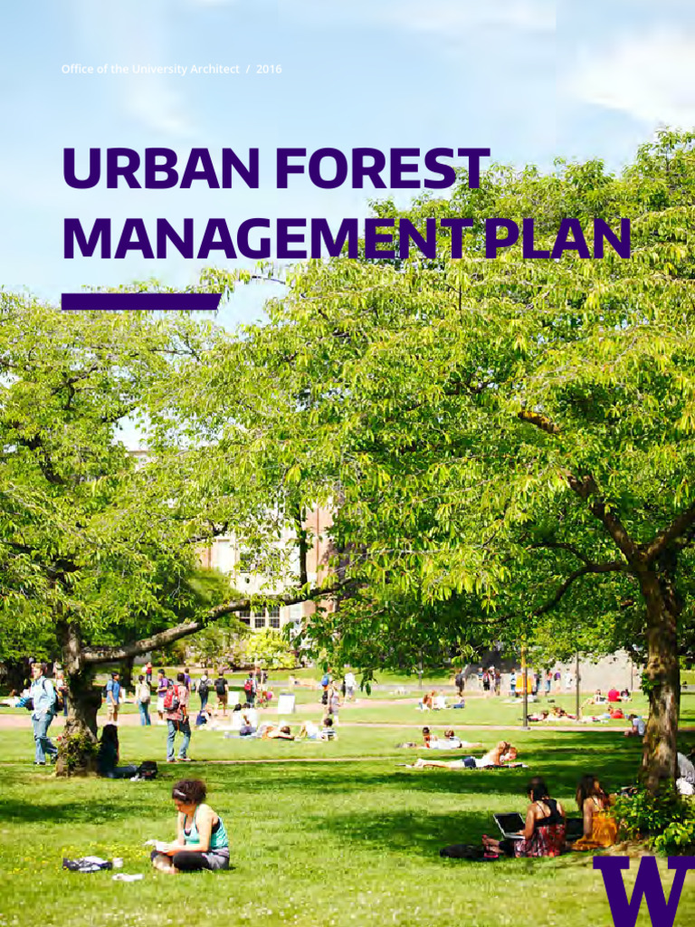 2016 Urban Forest Management Plan | PDF | Stormwater | Forestry