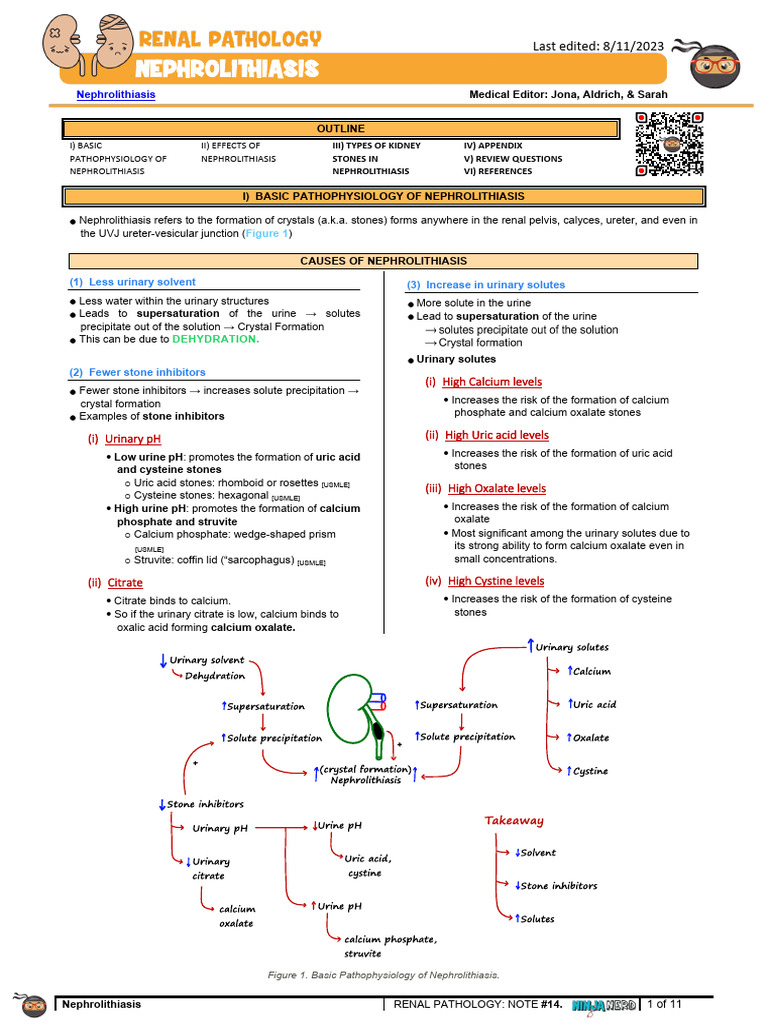 Nephrolithiasis | PDF | Kidney | Medical Specialties