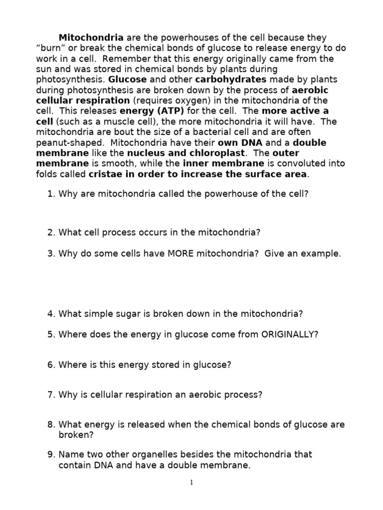 Mitochondria 1 | PDF | Mitochondrion | Adenosine Triphosphate
