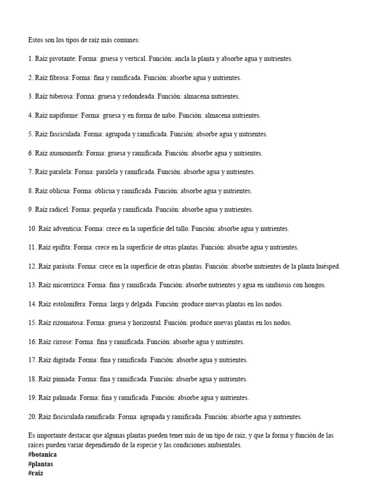 Los Tipos de Raíz Más Comunes | PDF
