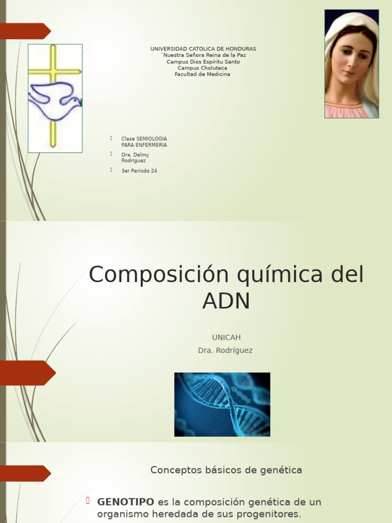 Conceptos de Composición Química Del ADN | PDF | Rna | Adn
