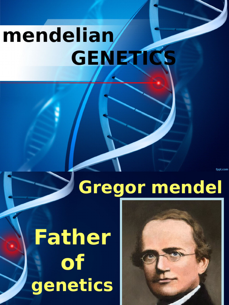Mendeliangenetics | PDF | Genotype | Dominance (Genetics)