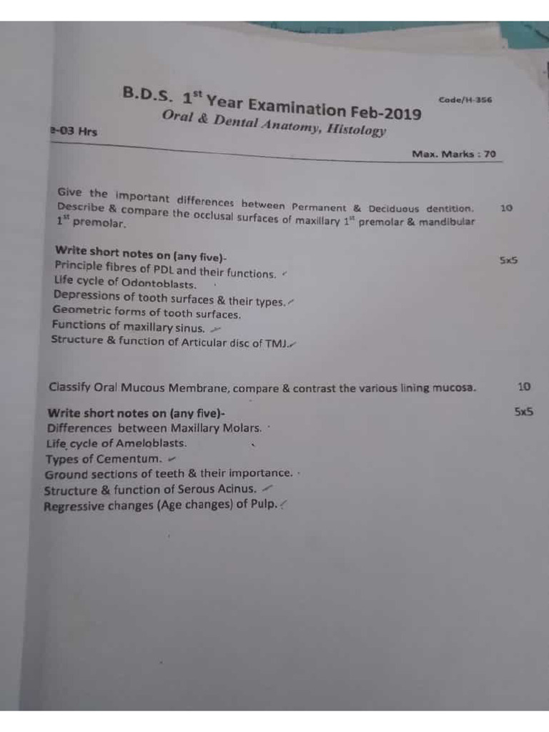 BDS 1ST Year Exam 2019 | PDF