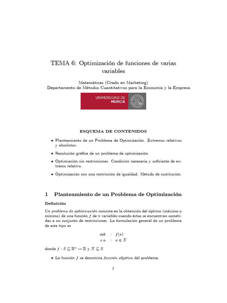 Tema 6 | PDF | Optimización Matemática | Función (Matemáticas)