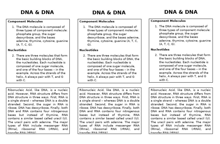 Handouts DNA and RNA | PDF | Rna | Dna
