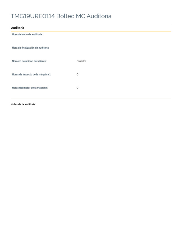 Plantilla de Protocolo de Auditoría Boltec MC | PDF | Bomba | Bienes manufacturados