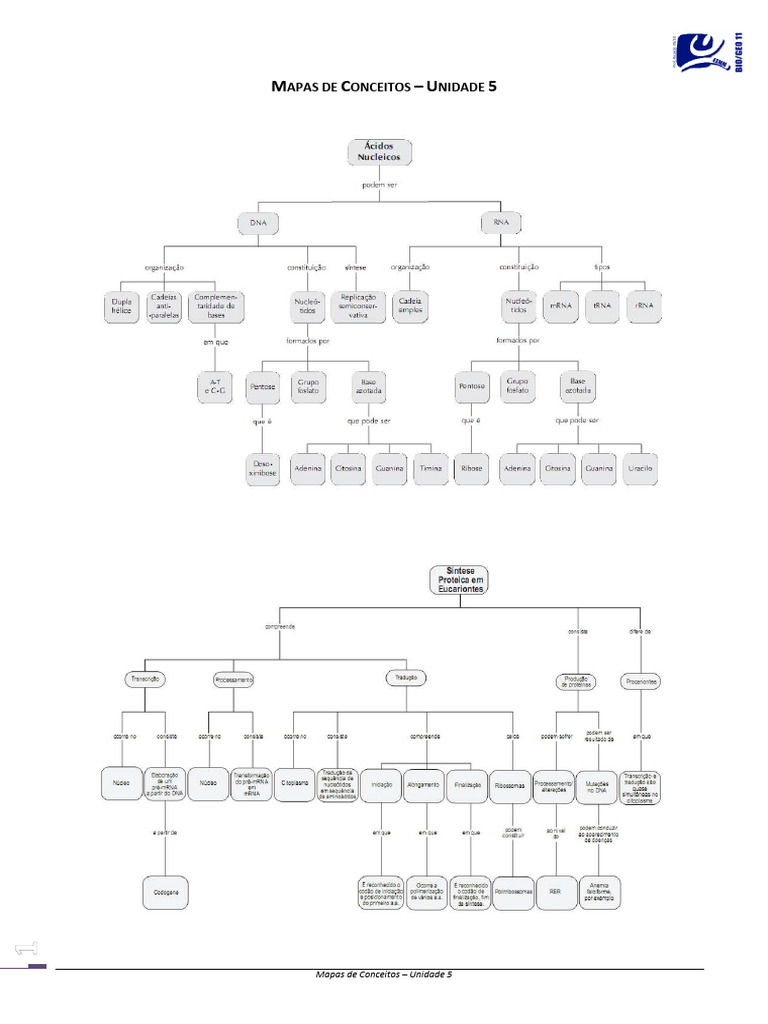 Mapas de Conceitos U5 | PDF