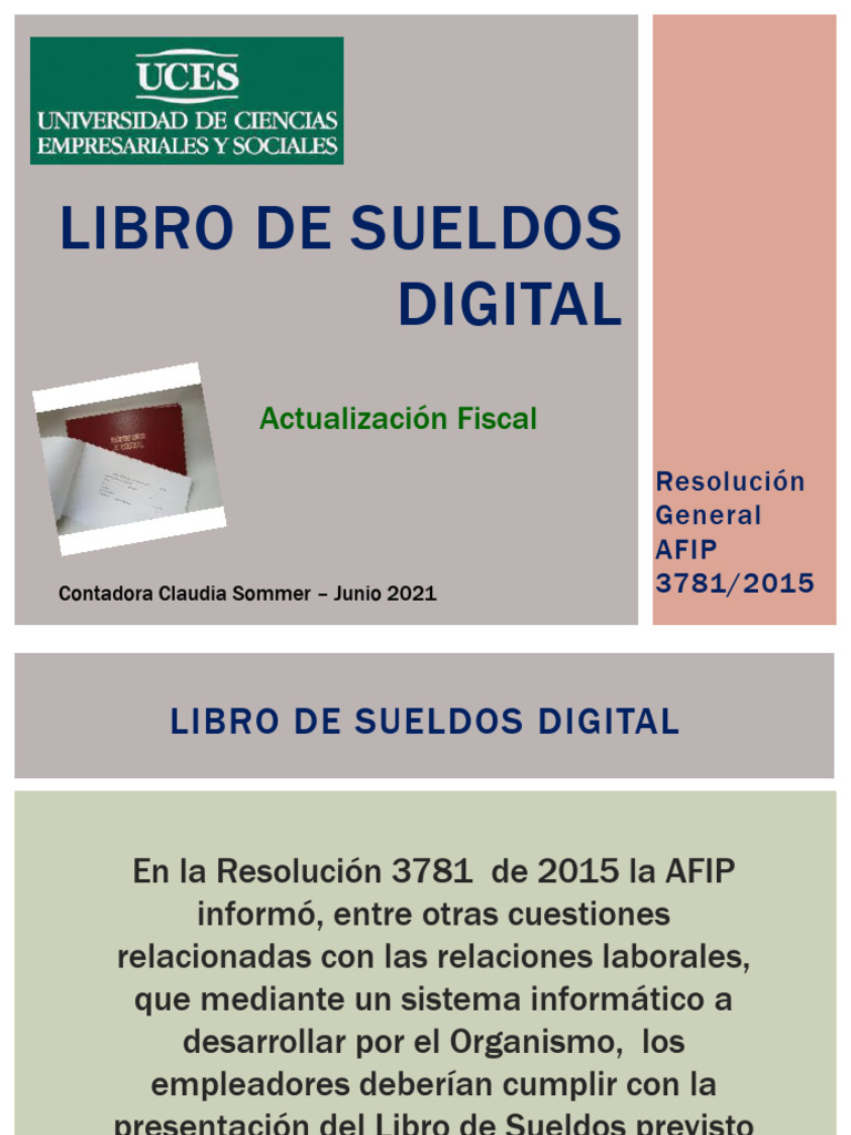 Libro de Sueldos Digital | PDF
