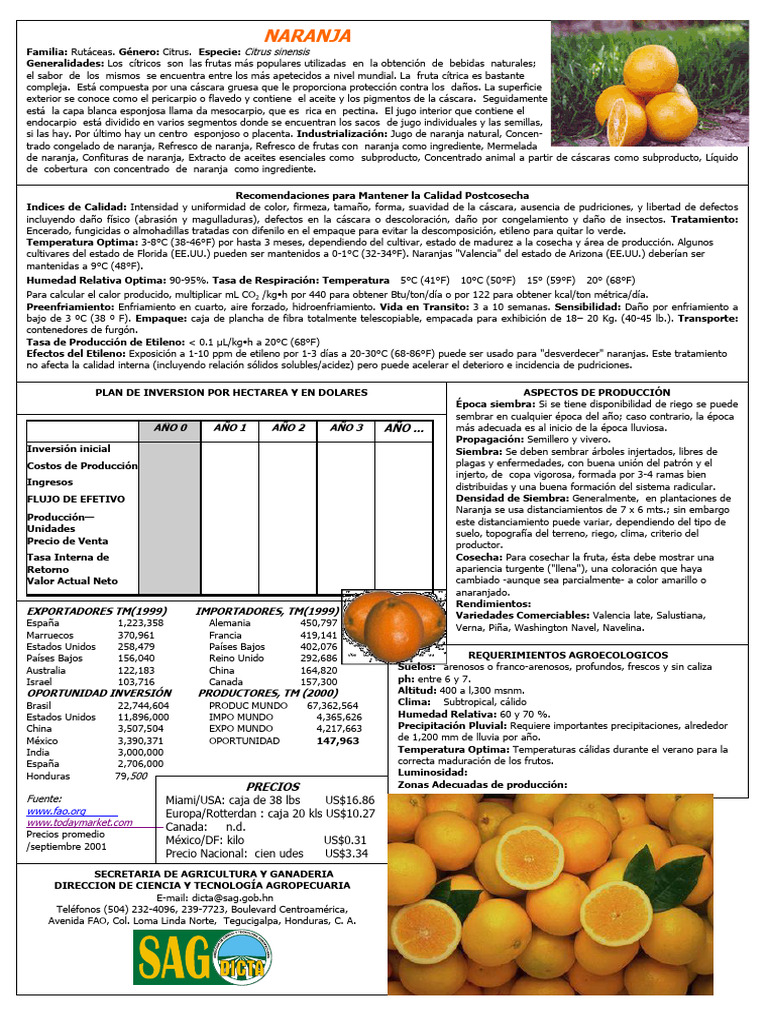 Guía Completa sobre Naranjas y su Cultivo | PDF | Naranja) | Agrios