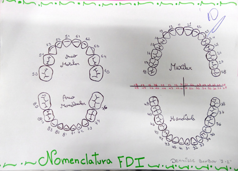 Nomenclatura Fdi | PDF