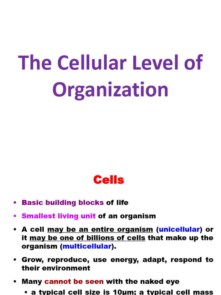 Cell and Organelles, Water and Buffers | PDF | Endoplasmic Reticulum ...