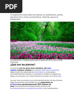 Nuevo Lapbook Plantas | PDF | Tallo de la planta | Plantas