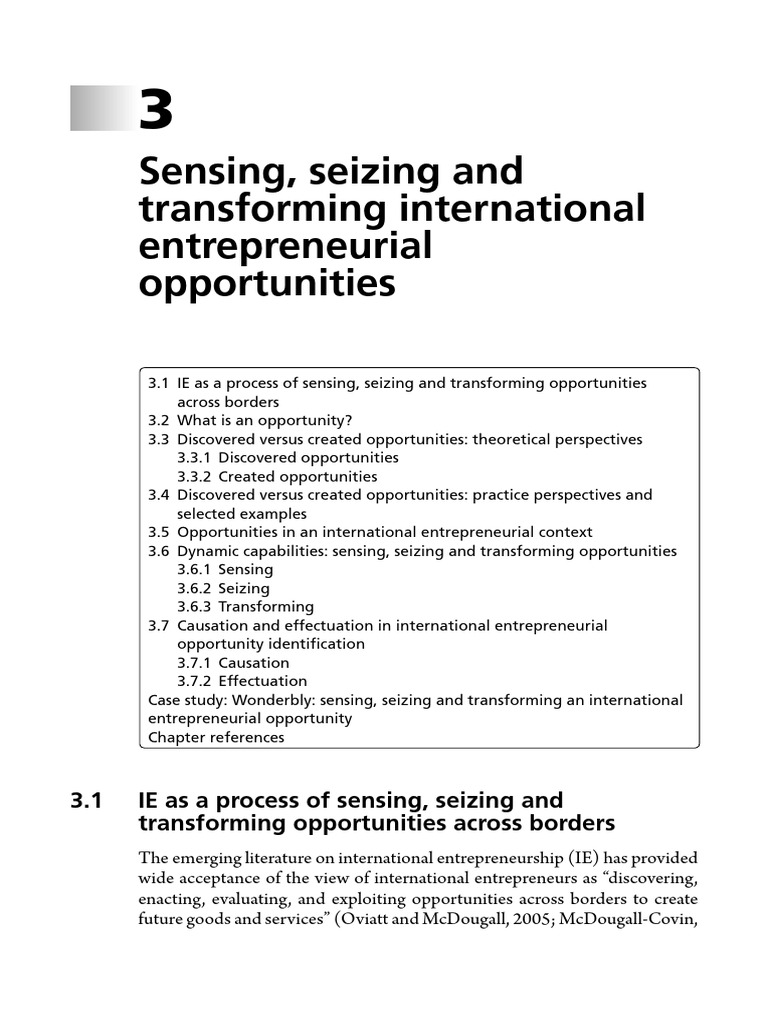 International Entrepreneurship - (3 Sensing Seizing and Transforming ...
