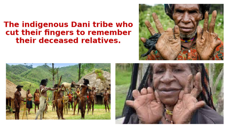 The Indigenous Dani Tribe Who Cut Their Fingers | PDF