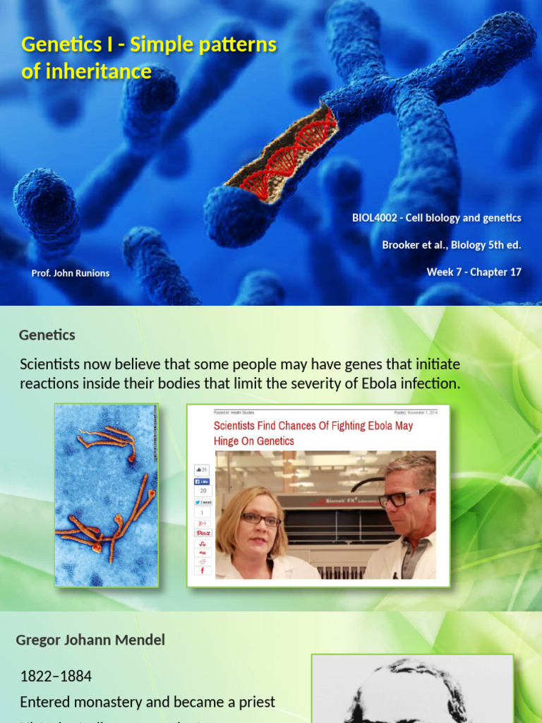 S1W7 - Genetics I - Simple Patterns of Inheritance Lecture | PDF | Dominance (Genetics) | Allele