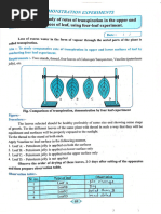 Plant Transpiration Experiments Guide | PDF | Leaf | Water