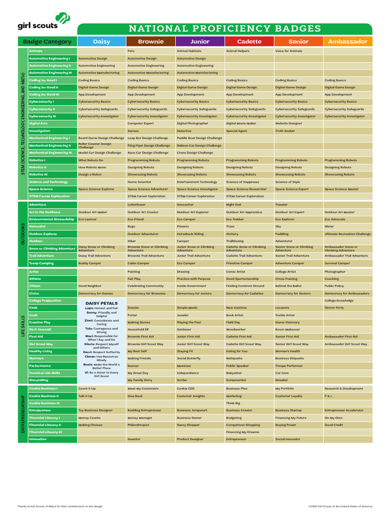 2020GSUSA CadetteBadgesAwardsAndPins2020 Guide-1 | PDF | Girl Guiding ...