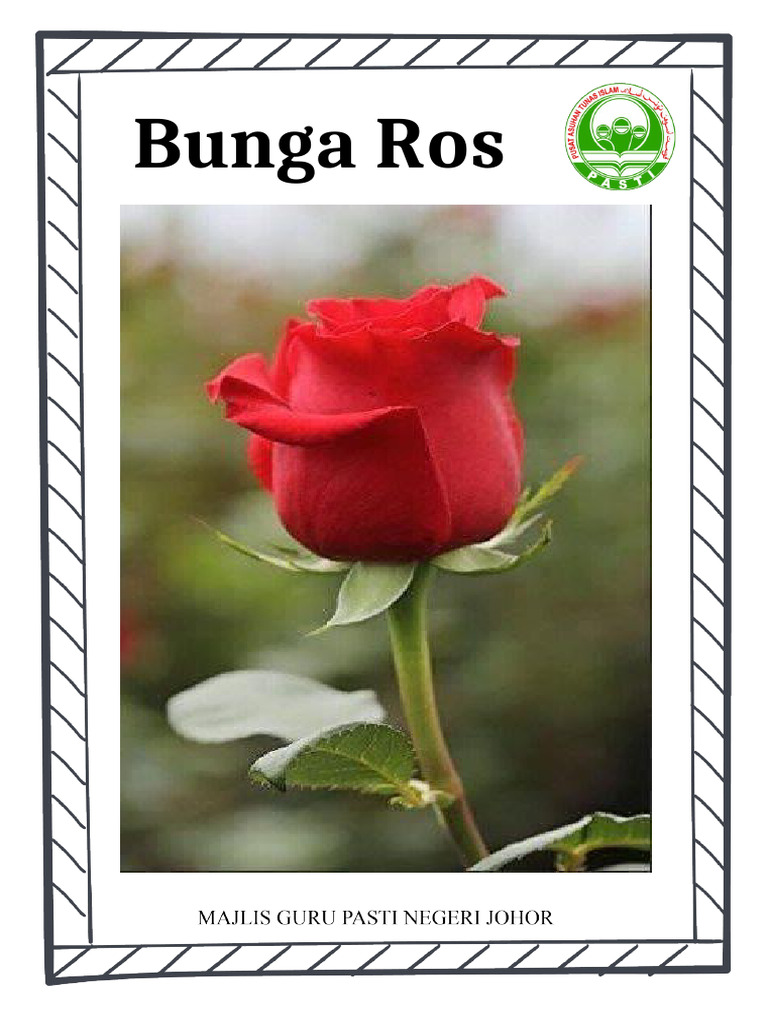 Bunga Ros | PDF