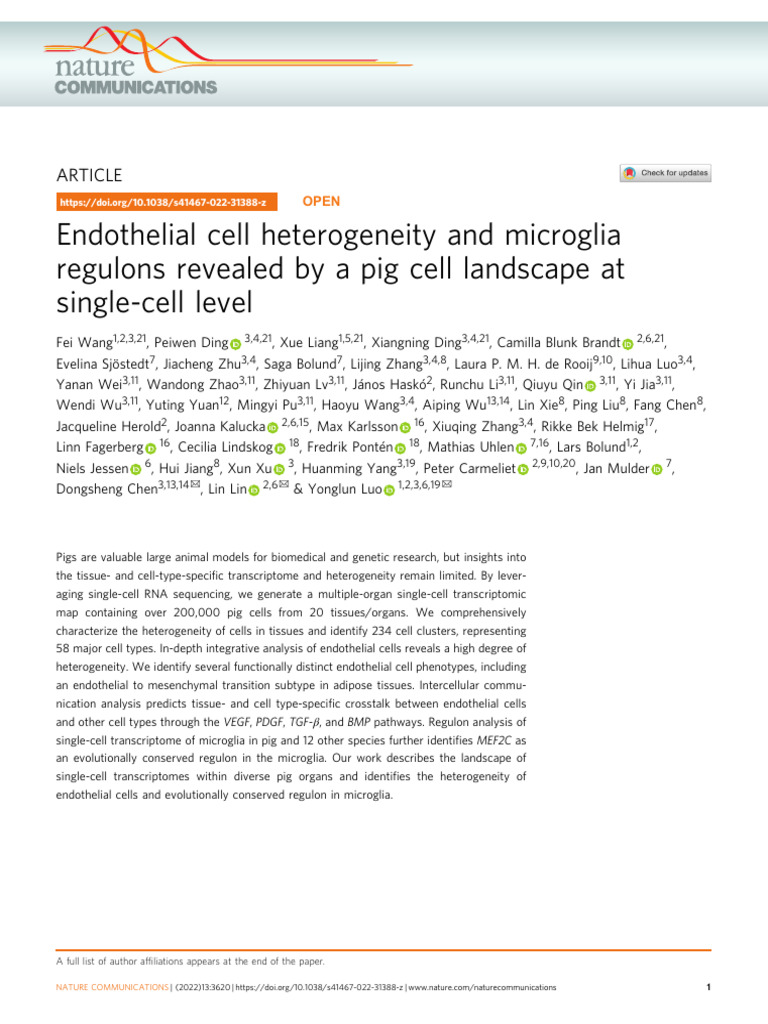 Endothelial Cell Heterogeneity and Microglia Regulons Revealed by A Pig ...