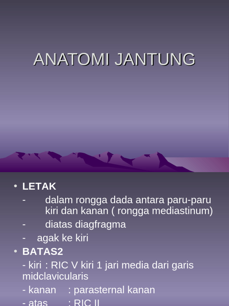 Struktur dan Fungsi Jantung Manusia | PDF