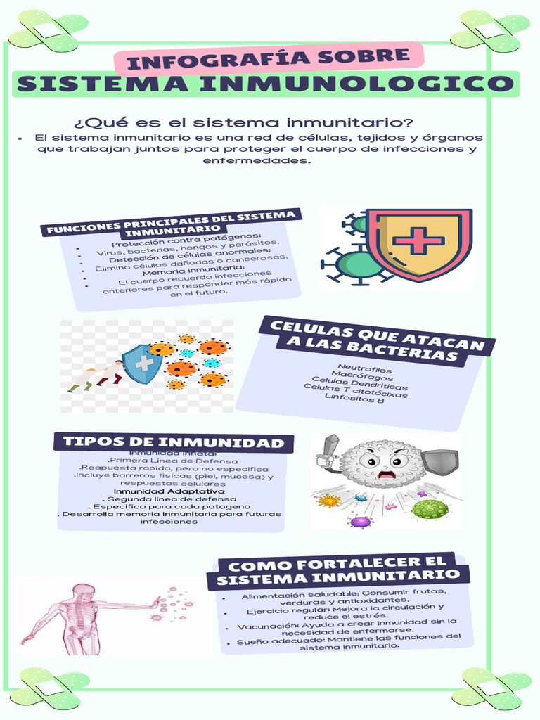 Infografia Sobre El Sistema Inmunologico | PDF | Sistema inmune | Especialidades Medicas