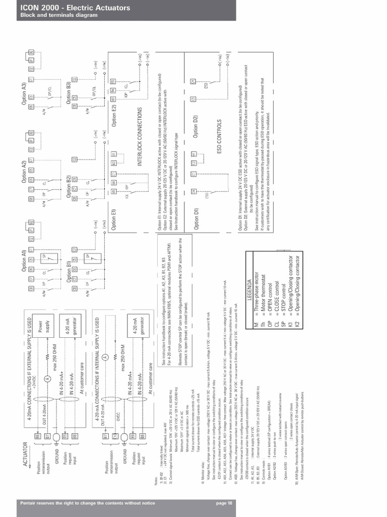 Biffi Electric Actuators, Model ICON 2000 | PDF