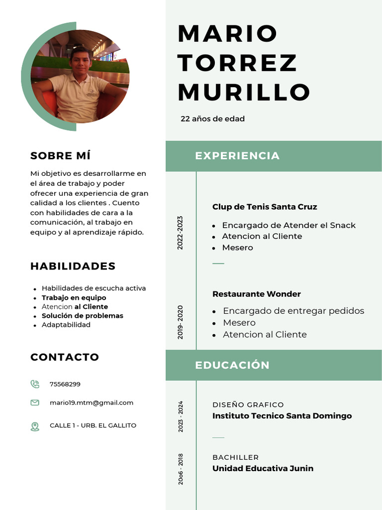 Currículum Mario Torrez Murillo | PDF