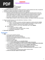 Anatomie et Développement du Diaphragme | PDF | Aorte | Thorax