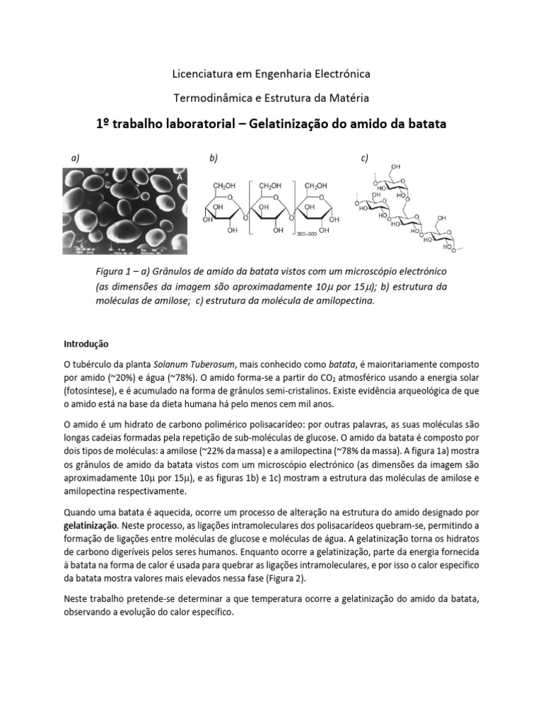 Guia Lab 1 TEM | PDF | Calor | Temperatura