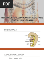 Anatomía quirúrgica del recto humano | PDF | Recto | Pelvis