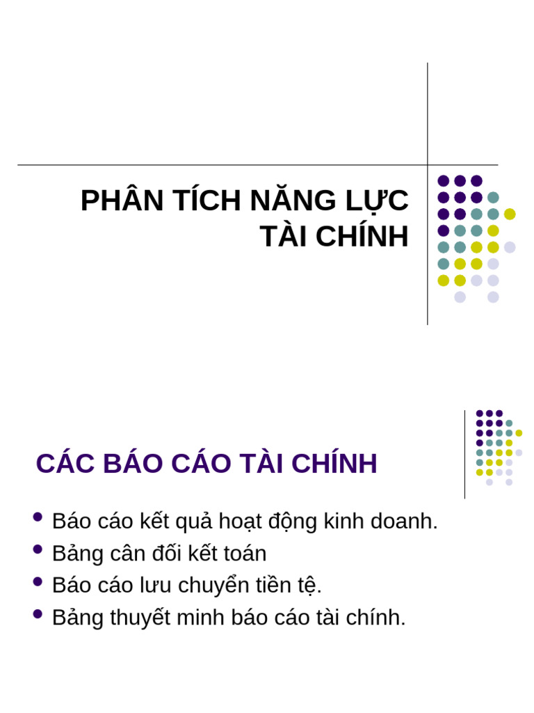 Nang Luc Tai Chinh | PDF
