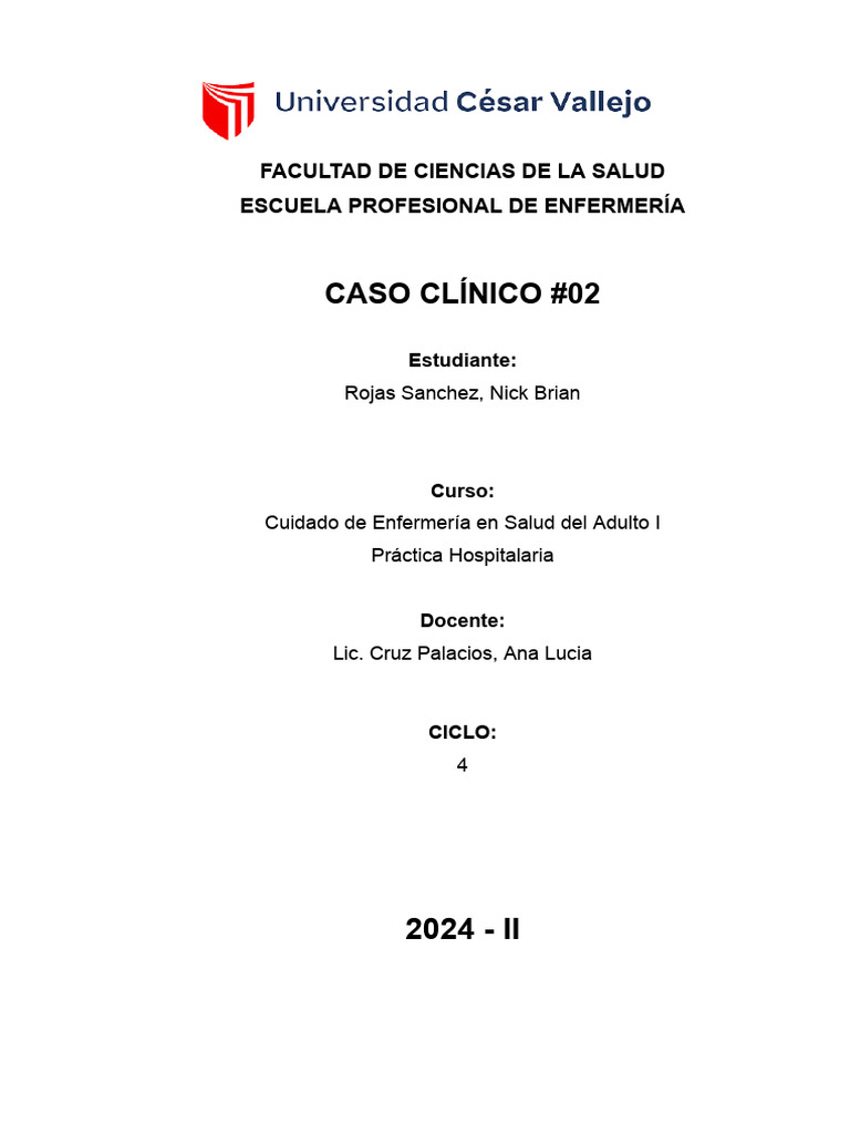 Formato Pae Cc2 Pdf Sistema Respiratorio Enfermería