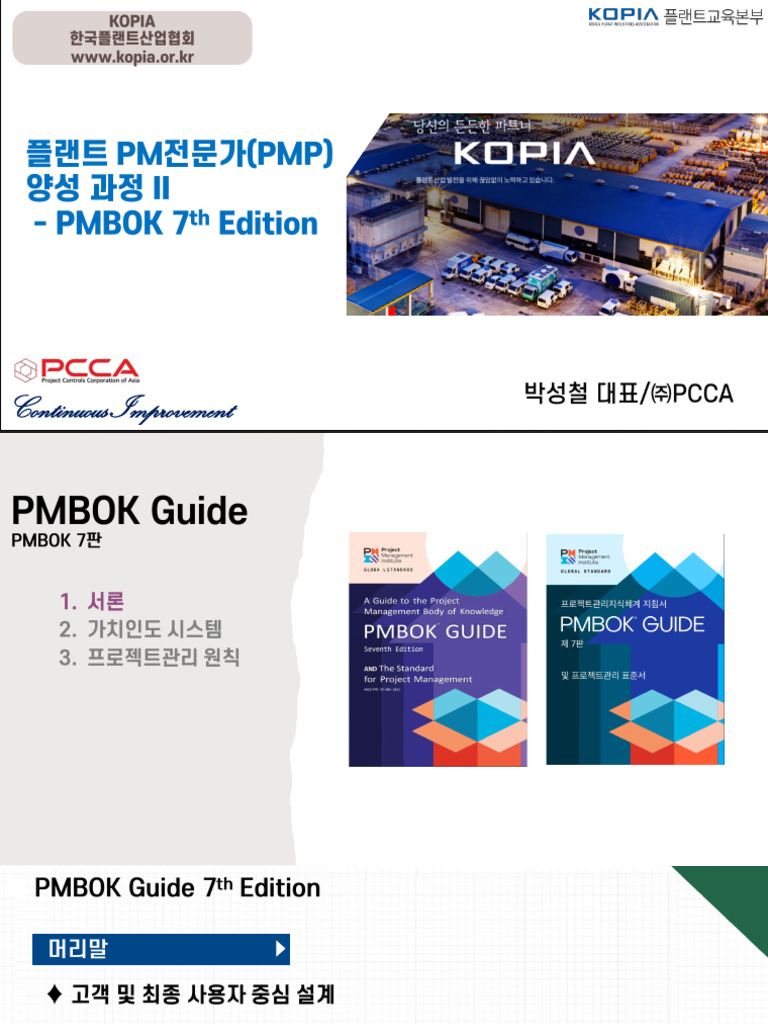 PMBOK 7th Edition | PDF