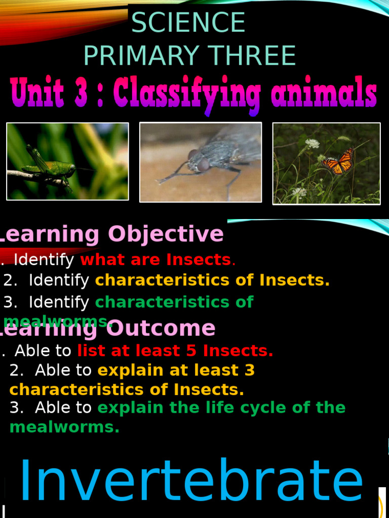 P3 - SC - Unit 3 - Classifying Animals - Insects - L6 - 2022 - I | PDF ...