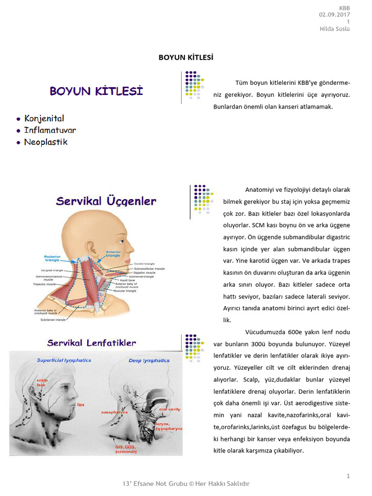 09.12 - Boyun Kitleleri - Ders Notu | PDF