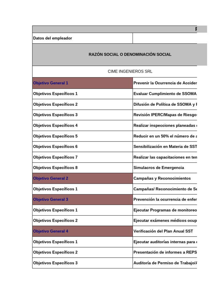 Programa Anual SST 2019 | PDF
