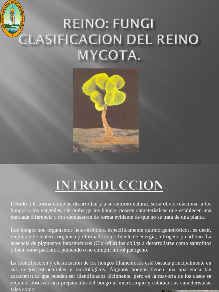 Clasificacion de La Division Mycota | PDF | Espora | Hongo