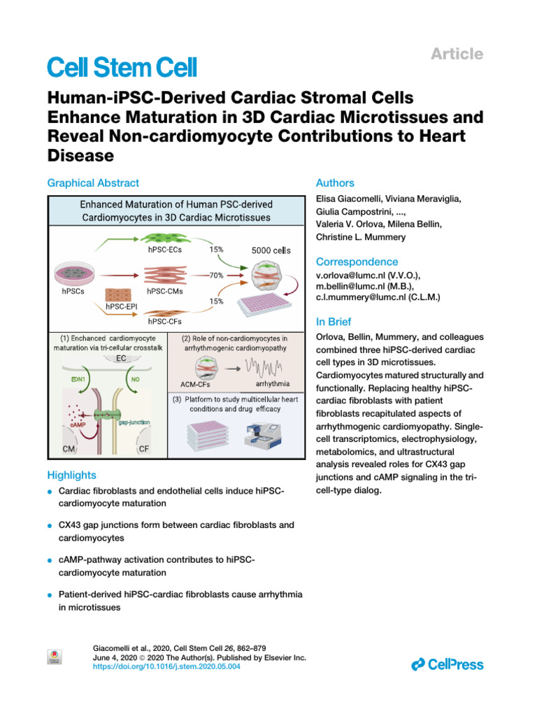 2020 - Cell Stem Cell - Human-iPSC-Derived Cardiac Stromal Cells ...