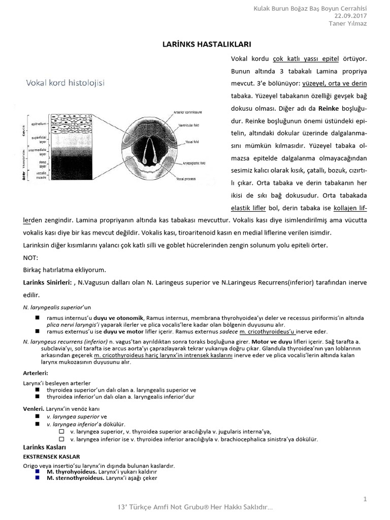 09.22 - Larinks Hastalıkları - Ders Notu 1 | PDF