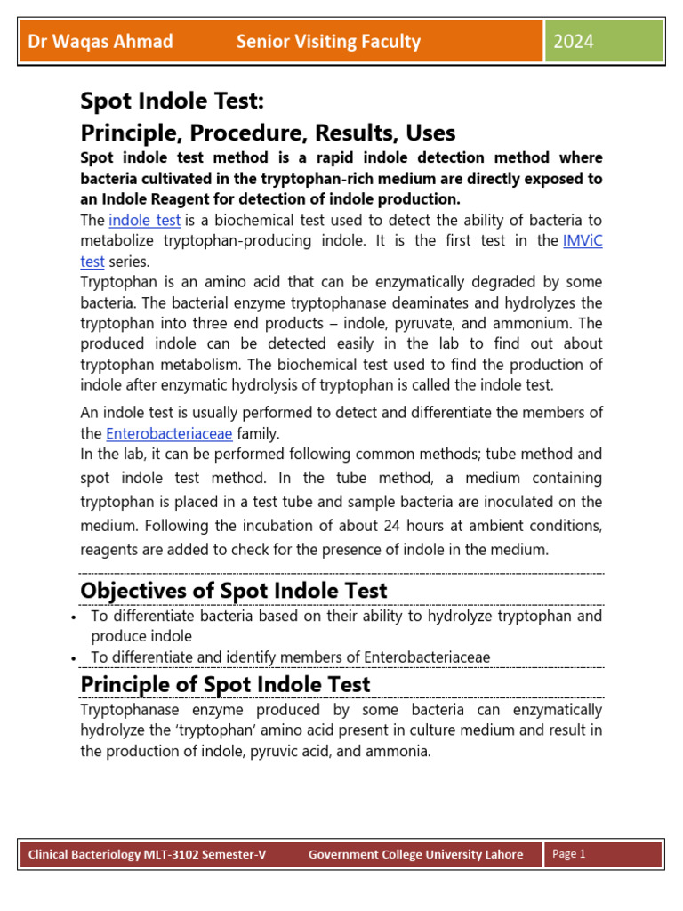 Indole Test Clinical Bacteriology MLT 3102 | PDF | Microbiology ...
