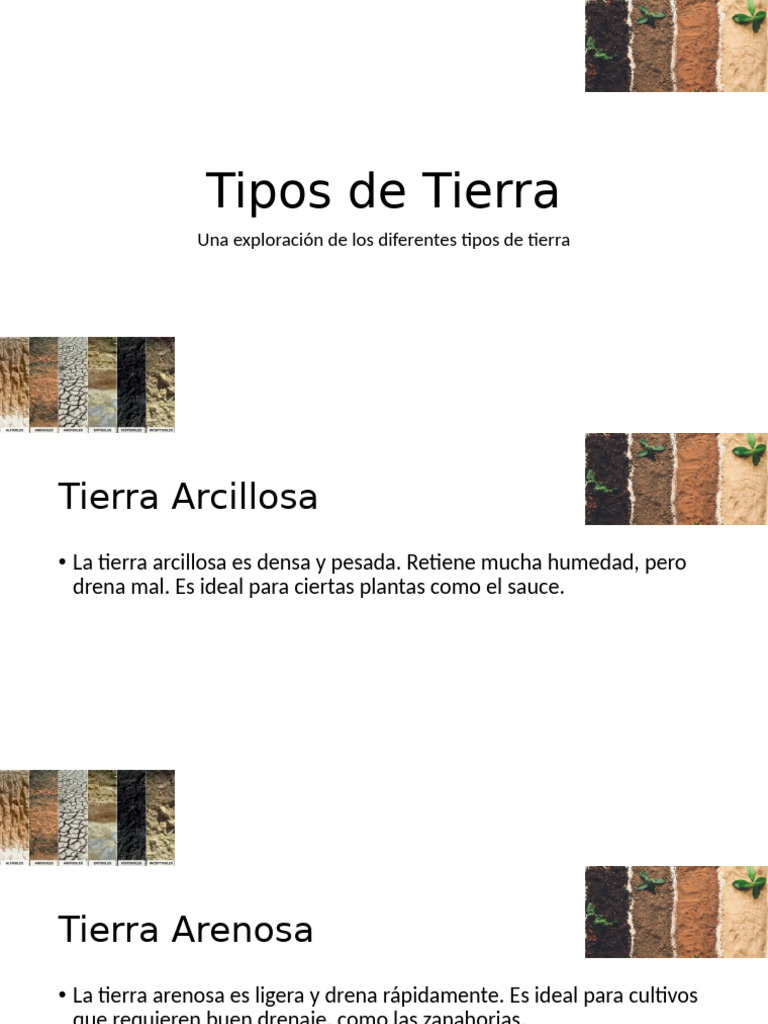 Tipos de Tierra | PDF