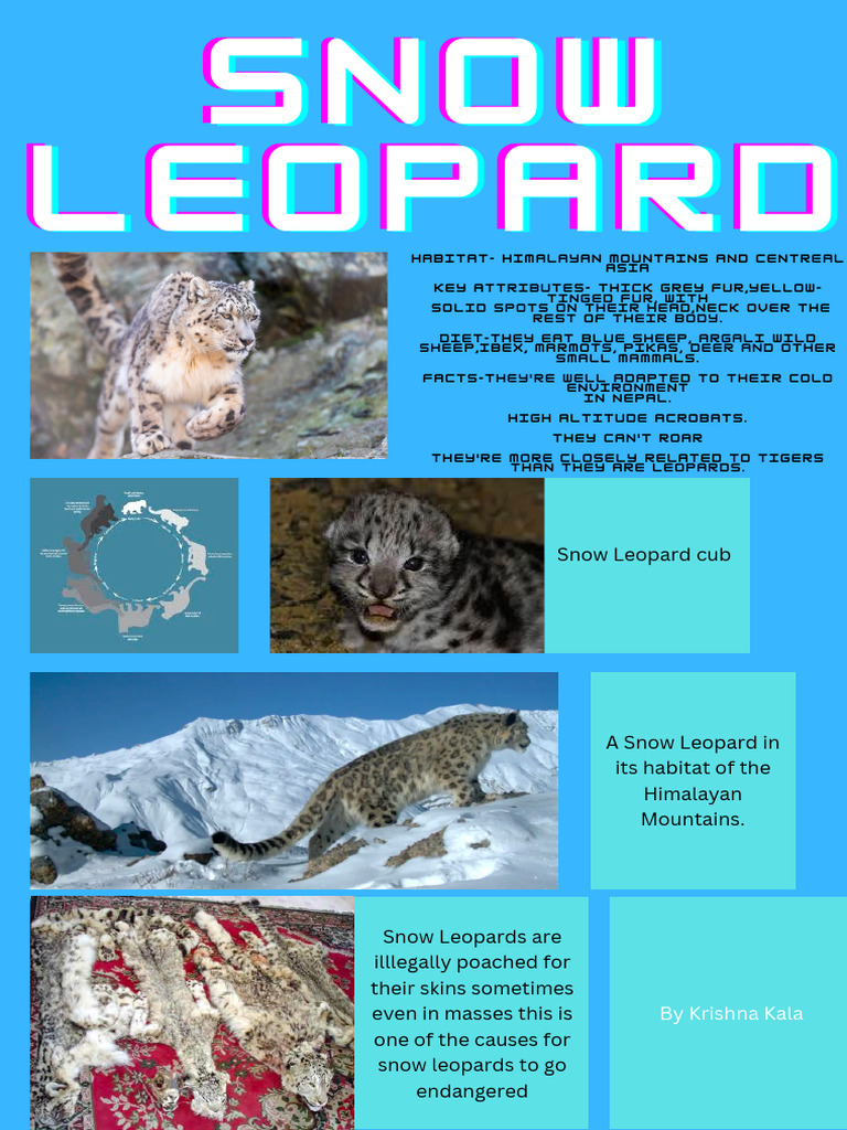 Snow Leopard | PDF