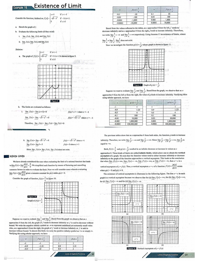 Basic Calculus Infinite Limits | PDF