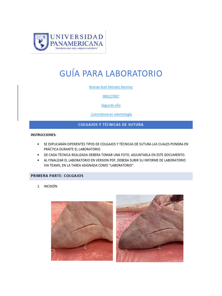 Laboratorio Colgajos y Suturas | PDF | Sutura Quirúrgica