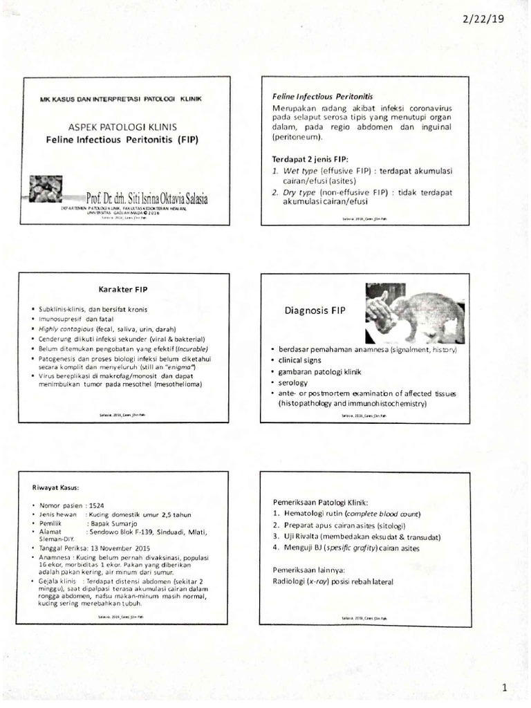 FIP - Prof. Rina | PDF